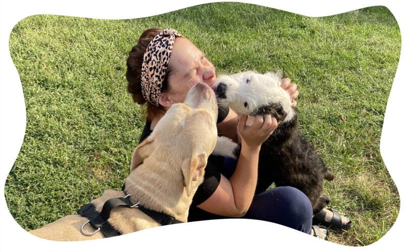 Saved By Fate Dog Rescue – Making a difference one shelter animal at a ...