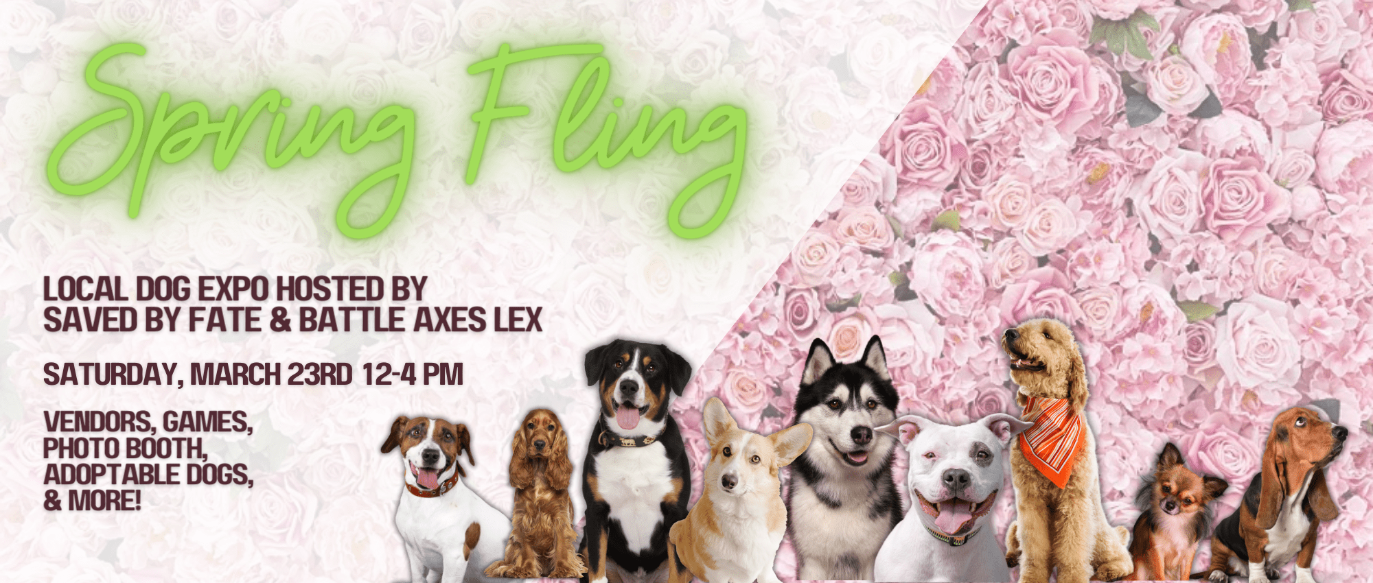 Saved By Fate Dog Rescue – Making a difference one shelter dog at a time.