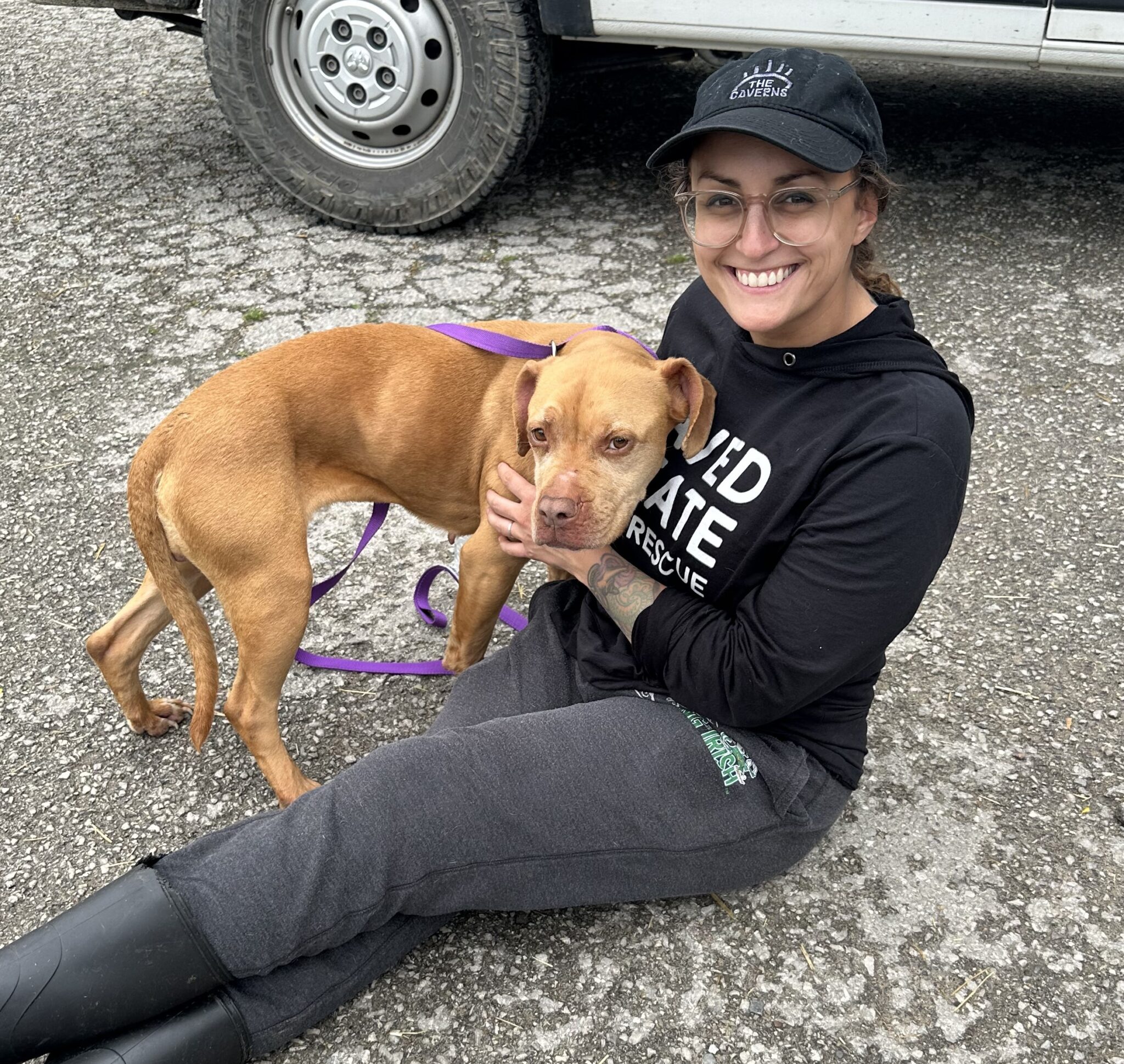 Donate – Saved By Fate Dog Rescue